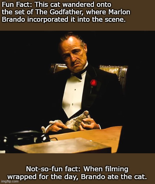 Meme/Fun Fact: – TheHumbleHeckler.com